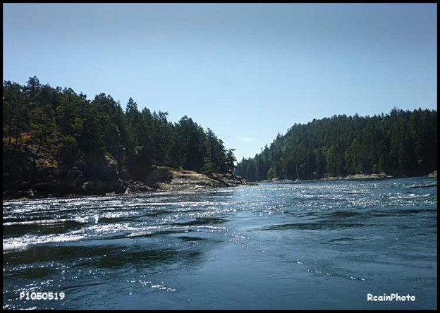 Dodd Narrows | Photos from Hornby Island / Bob Cain