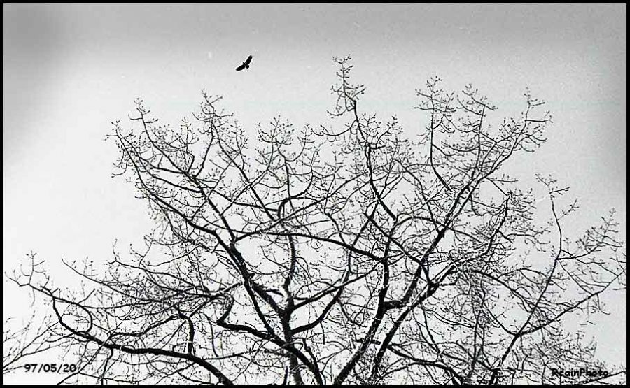 Ford Cove | Photos from Hornby Island / Bob Cain